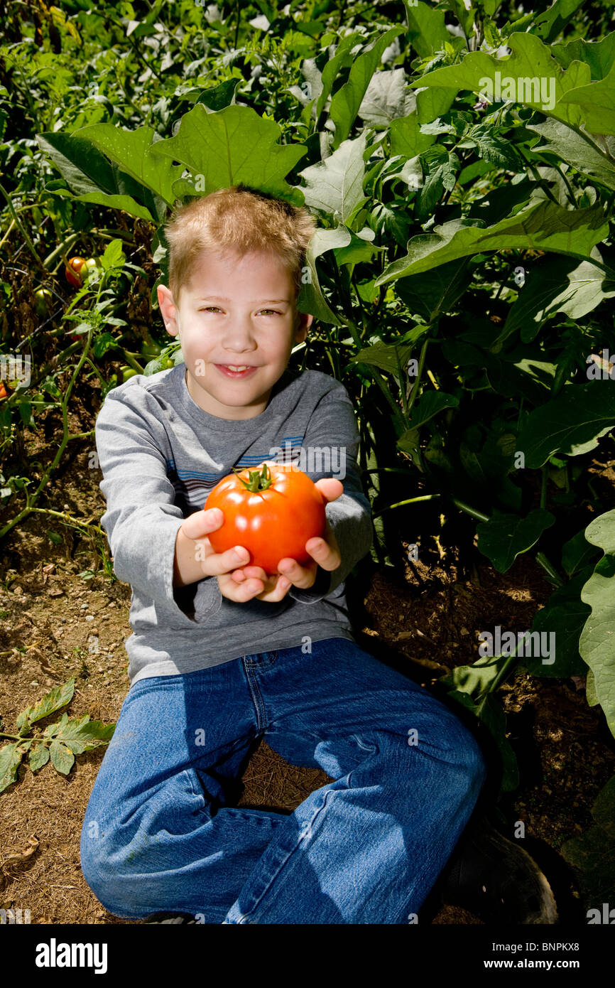 A child offers a tomato to the camera Stock Photo - Alamy