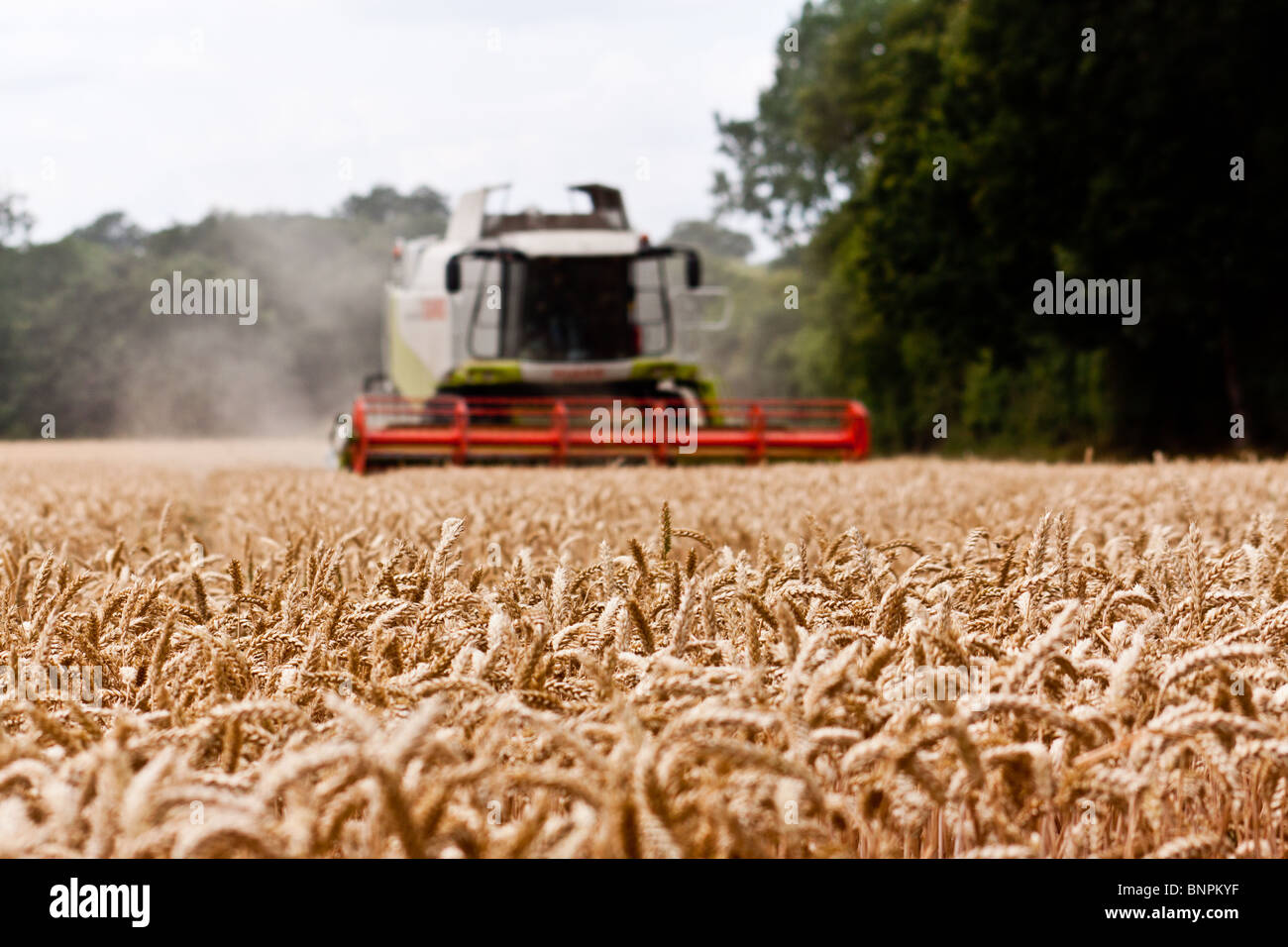 Combine harvest hi-res stock photography and images - Alamy