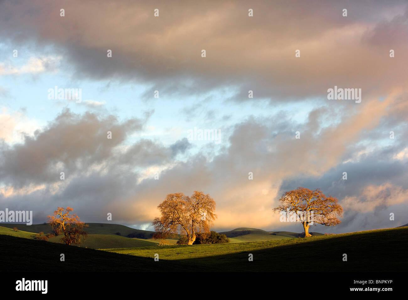 Pastoral setting hi-res stock photography and images - Alamy