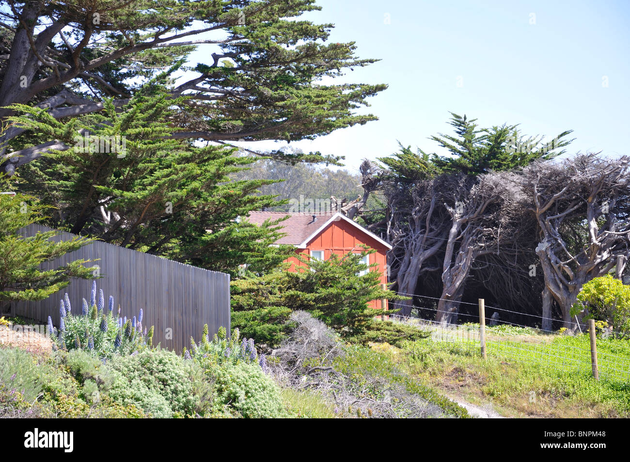 House in rural California, USA Stock Photo - Alamy