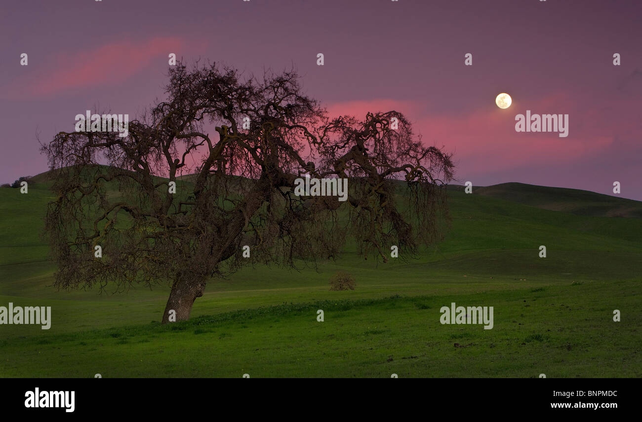 A full moon rises at dusk in the central-California hills of southern ...