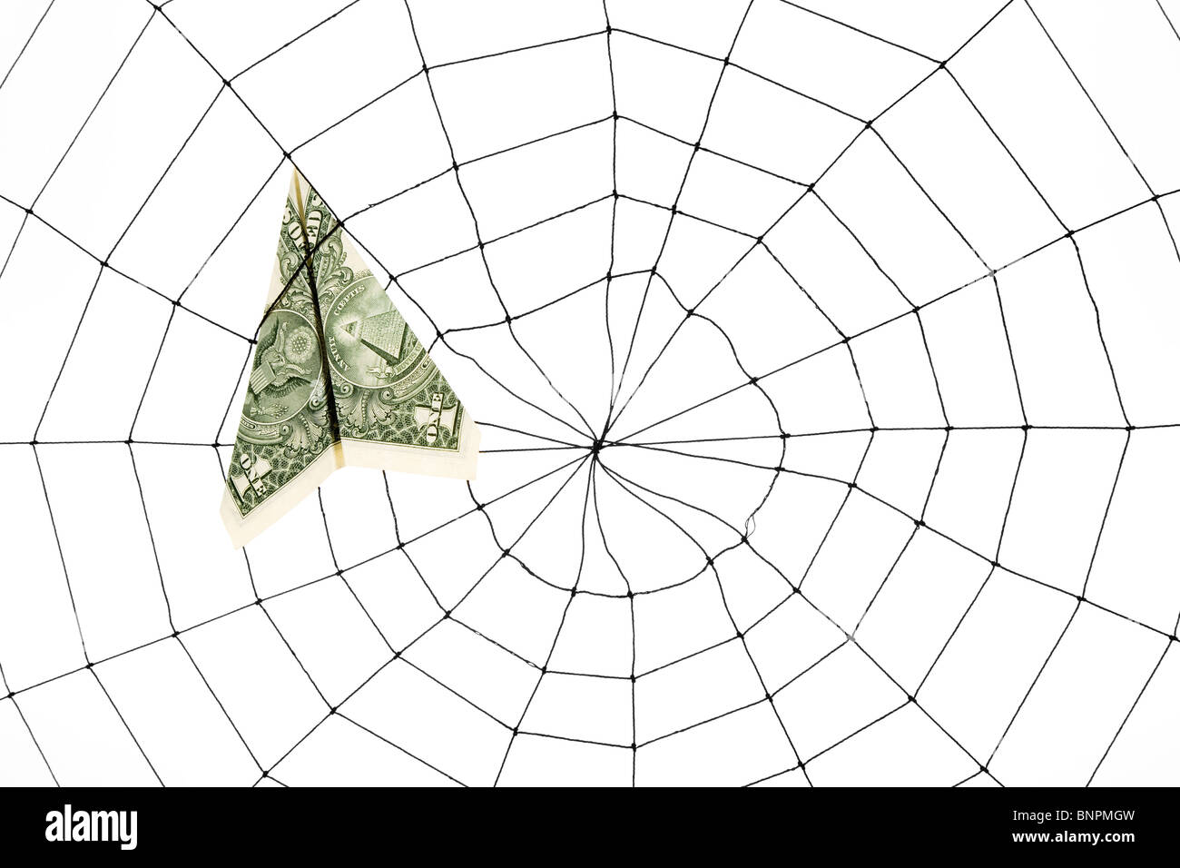 Spider Web and dollar, business concept Stock Photo - Alamy