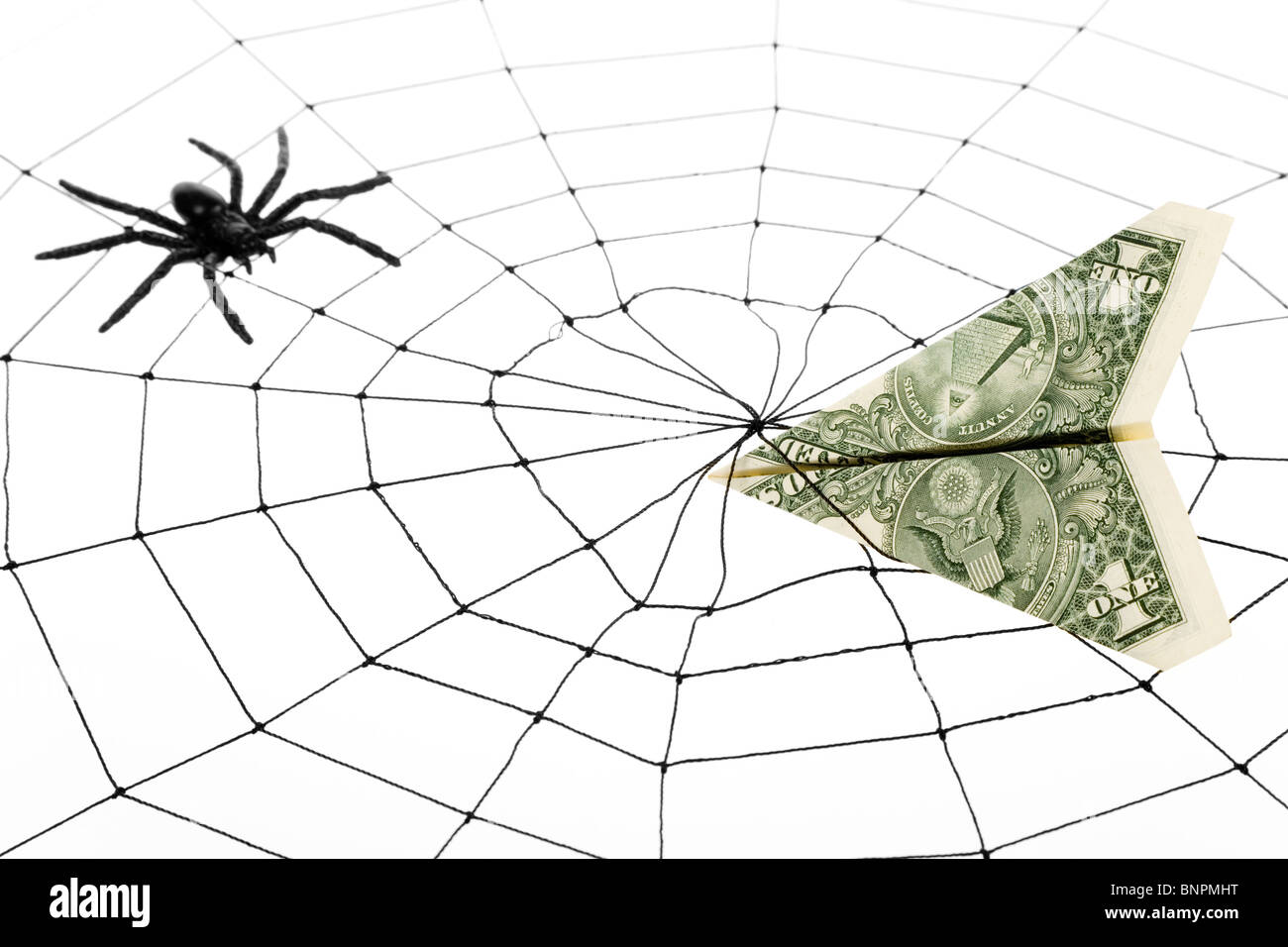 Spider Web and dollar, business concept Stock Photo - Alamy