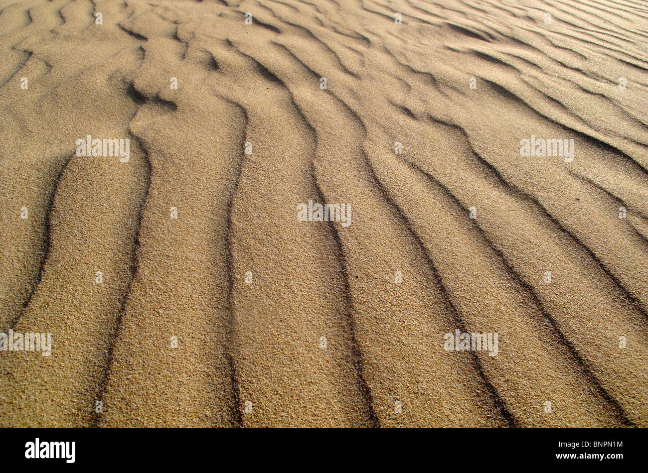 Wind ripples i sand on beach Stock Photo - Alamy