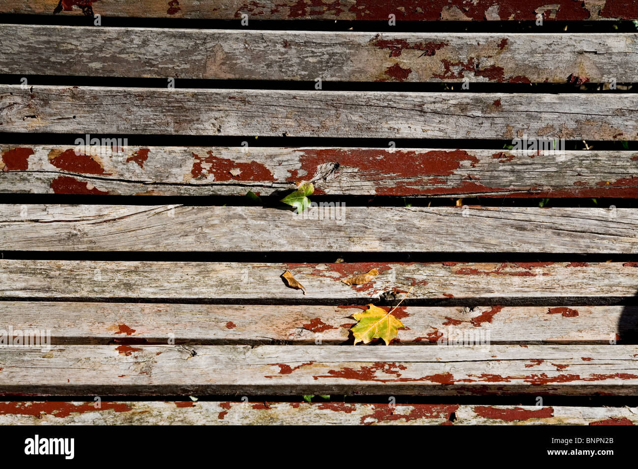 Bench close up hi-res stock photography and images - Alamy