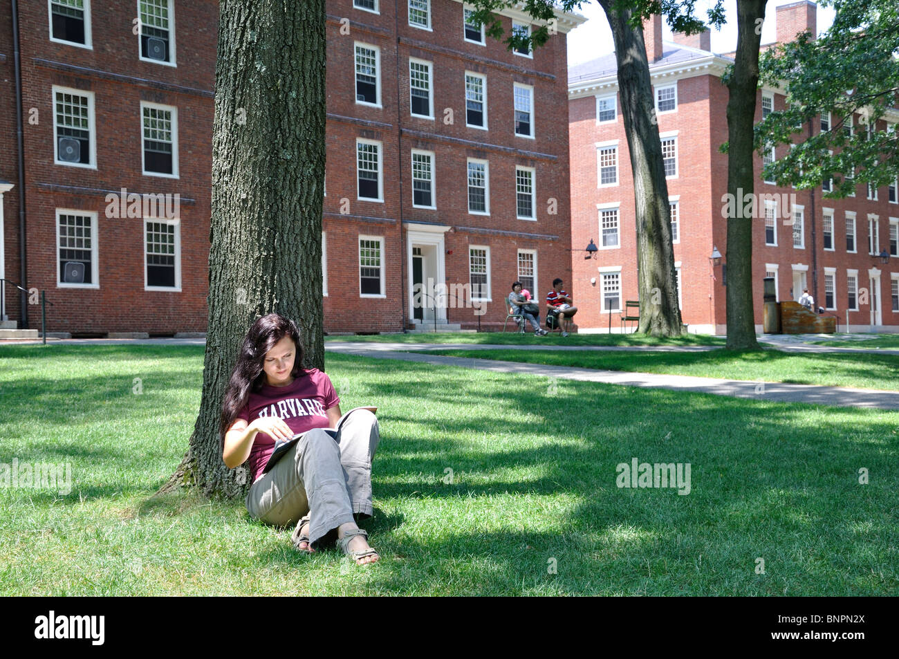 Female Harvard student, Harvard University campus, Boston, MA, USA ...