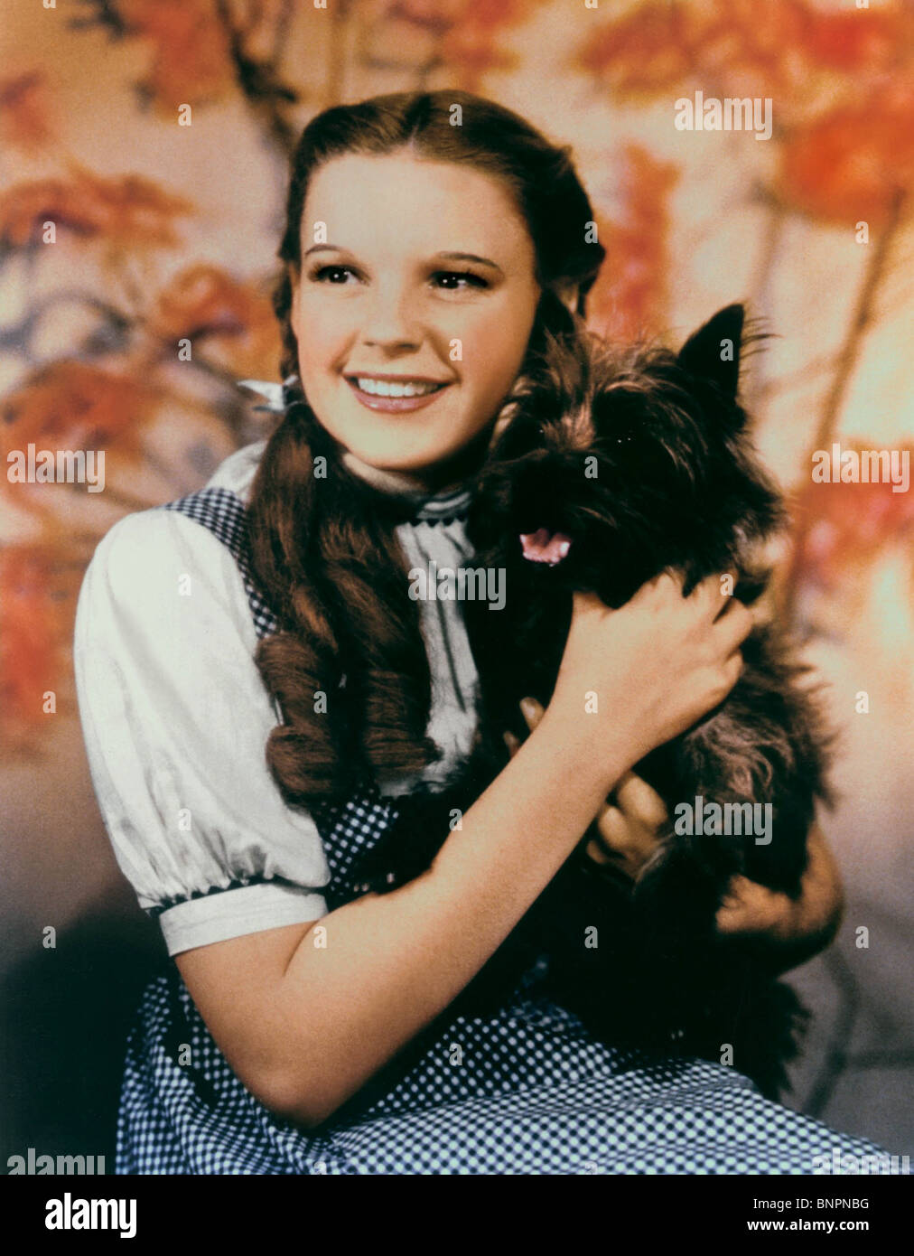 Judy Garland Wizard Oz 1939 High Resolution Stock Photography and ...