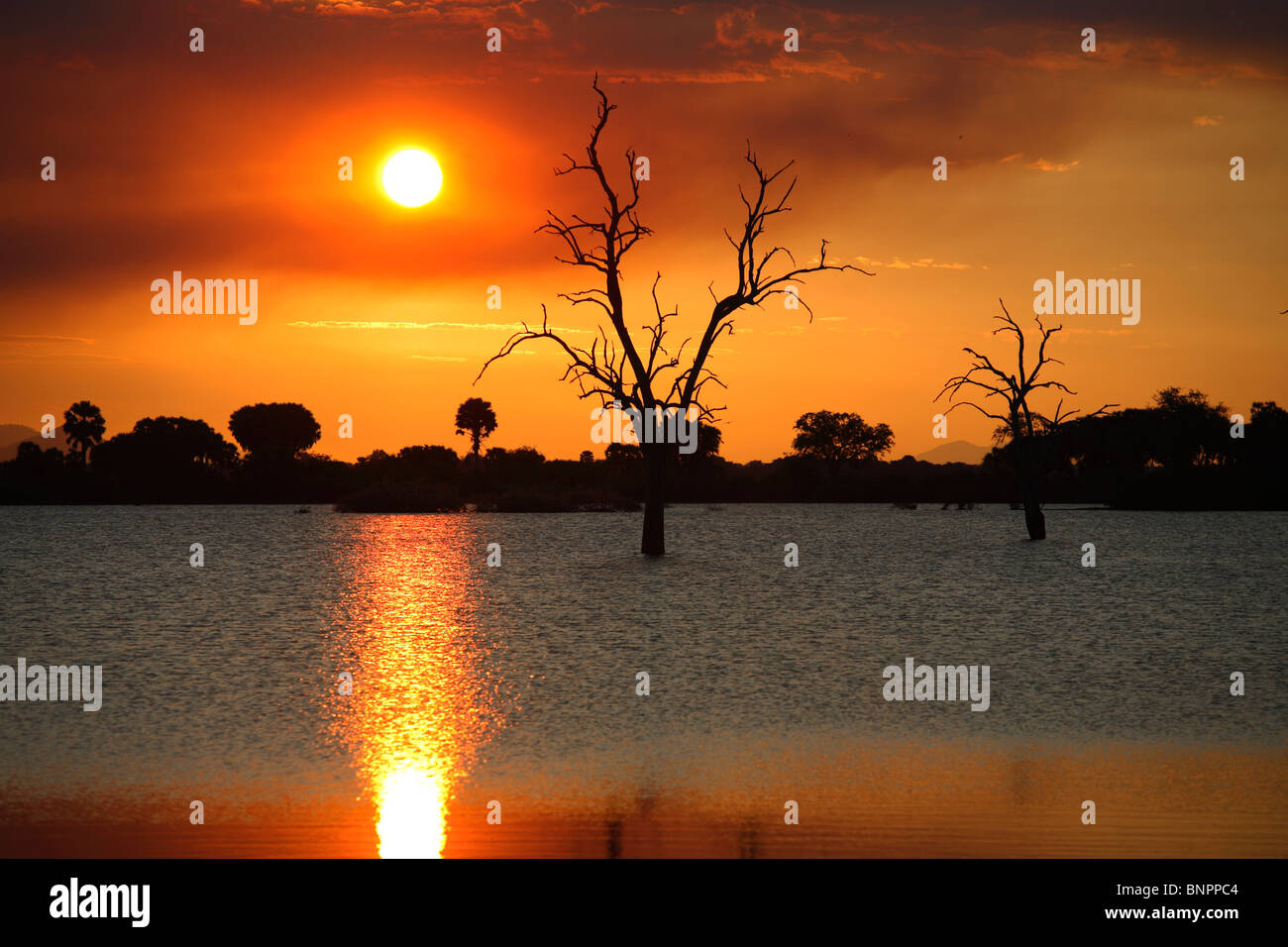 Sunset at Lake Manze, Selous Game Reserve, Tanzania Stock Photo - Alamy