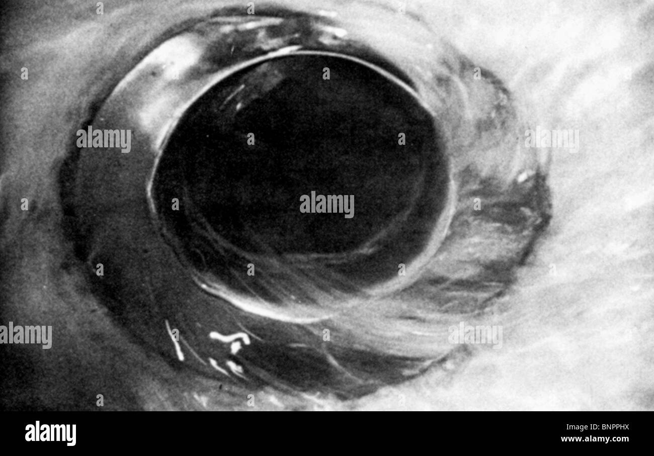 Alfred Hitchcock Psycho Shower High Resolution Stock Photography and ...