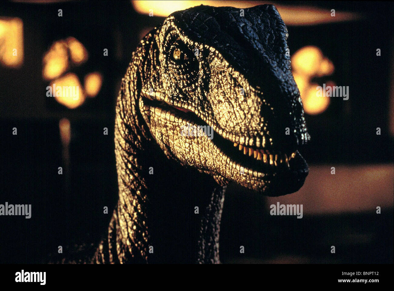 Velociraptor Jurassic Park High Resolution Stock Photography and Images ...