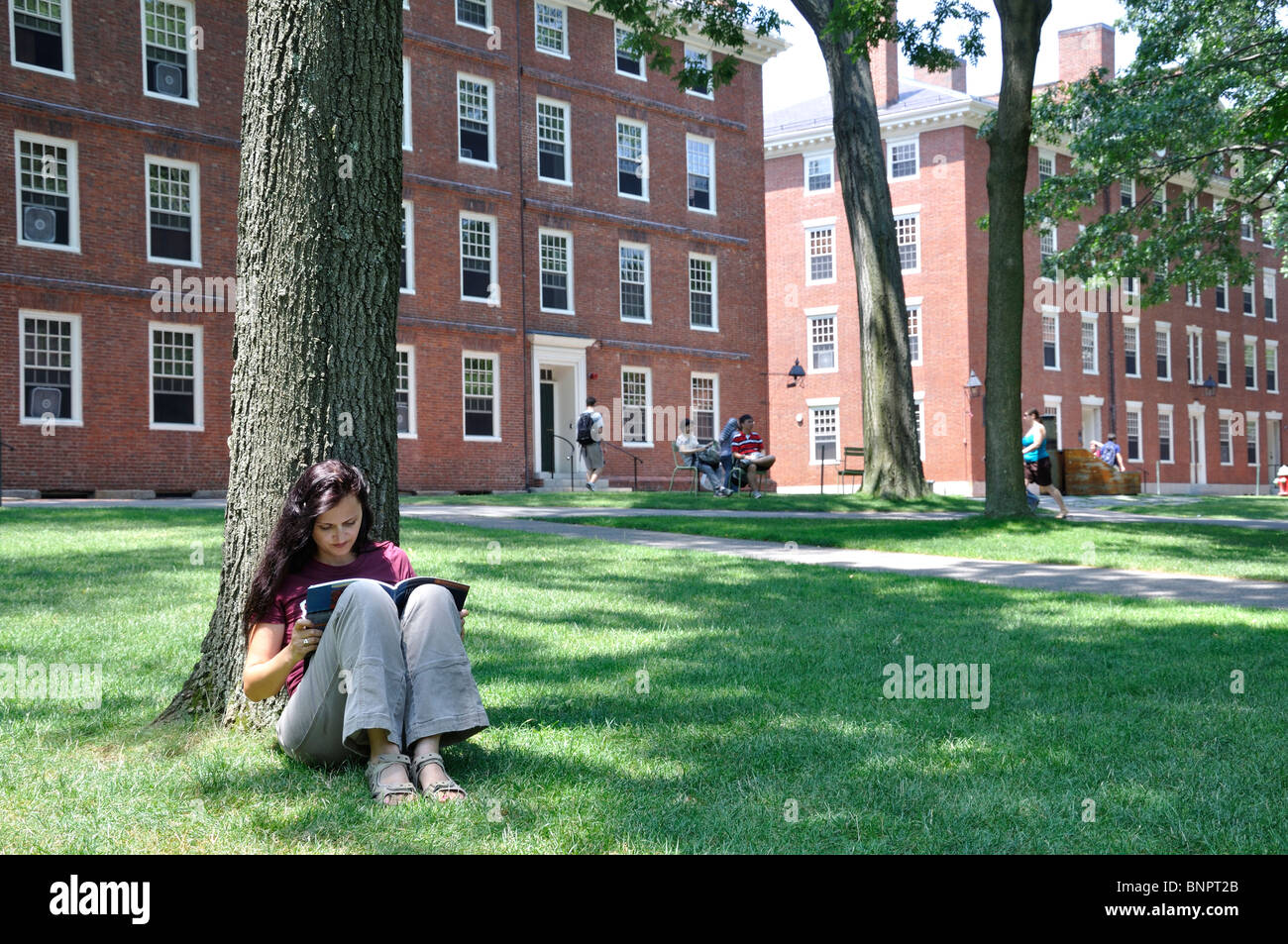Female Harvard student, Harvard University campus, Boston, MA, USA ...