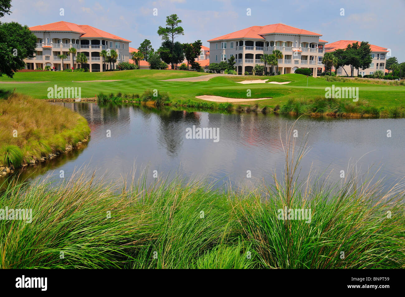 Hills berms rough pine trees red roof view course lakefront hi-res ...