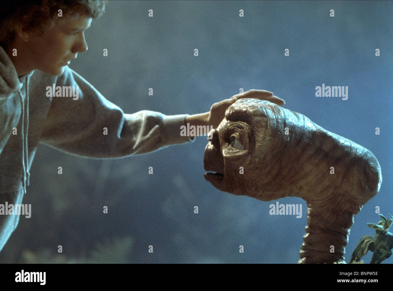 Robert Macnaughton Stock Photos & Robert Macnaughton Stock Images - Alamy