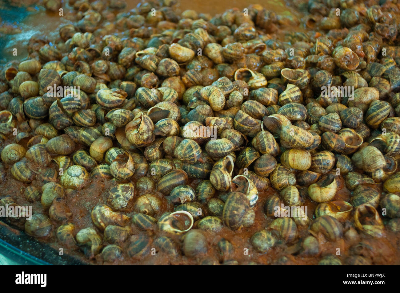 French Cuisine Snails High Resolution Stock Photography and Images - Alamy