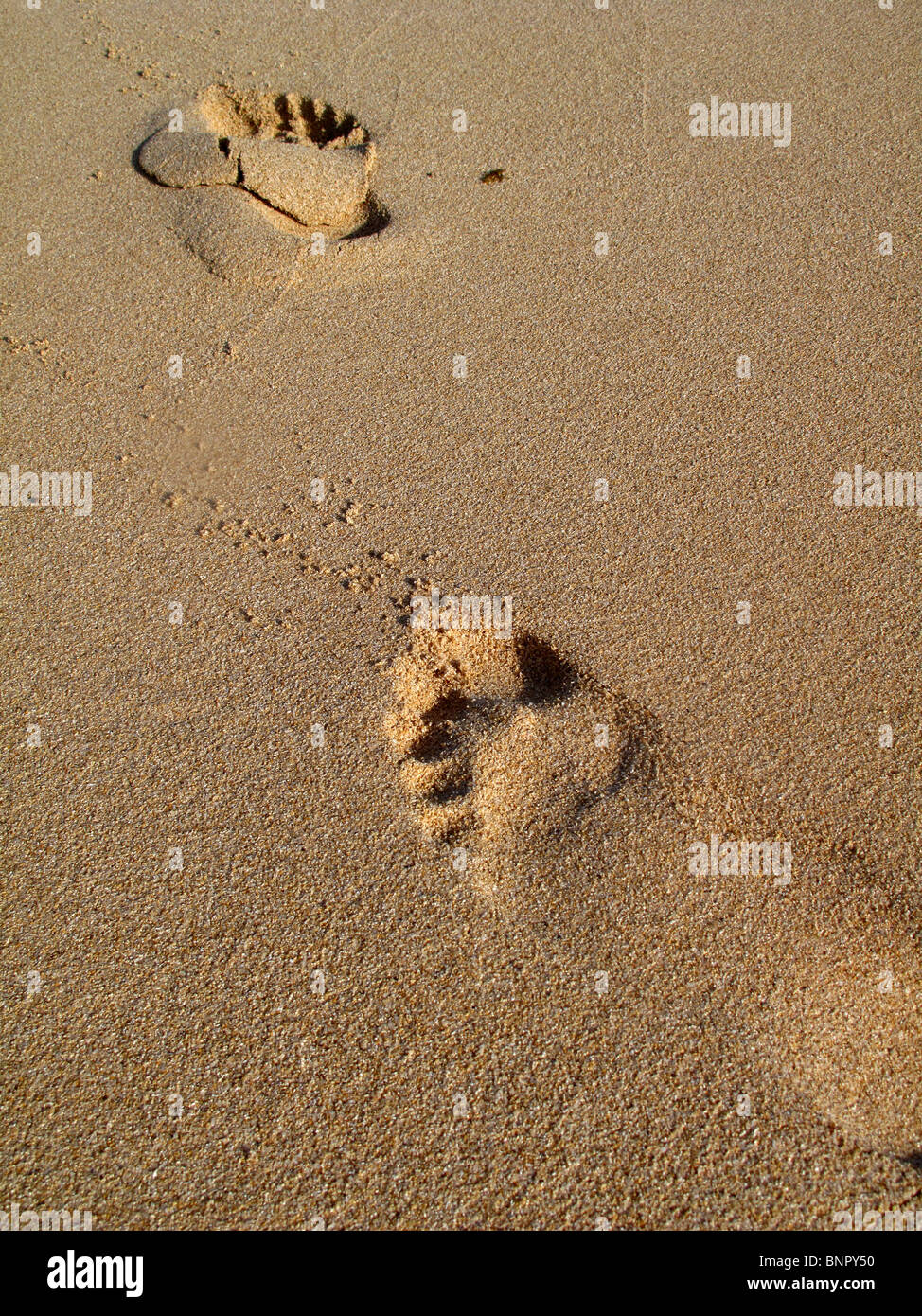 Footprints in sand on beach Stock Photo - Alamy
