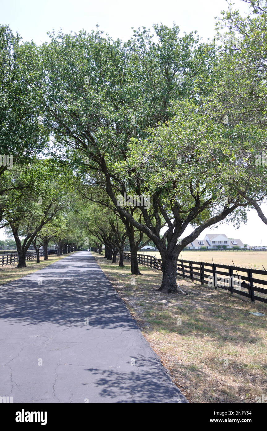 Southfork ranch, Texas, USA (form popular TV series "Dallas Stock Photo ...