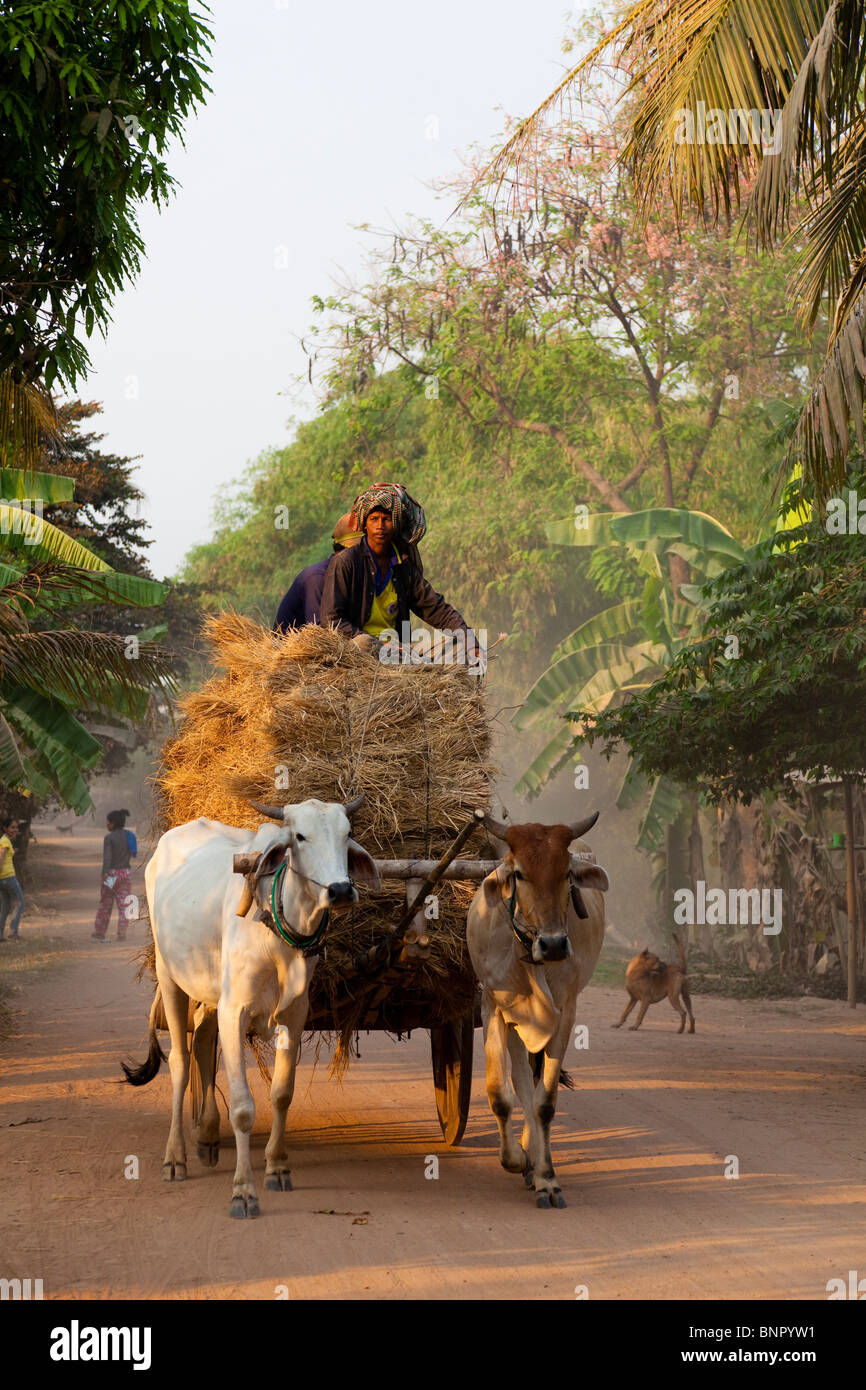 Ox cart cambodia hi-res stock photography and images - Alamy