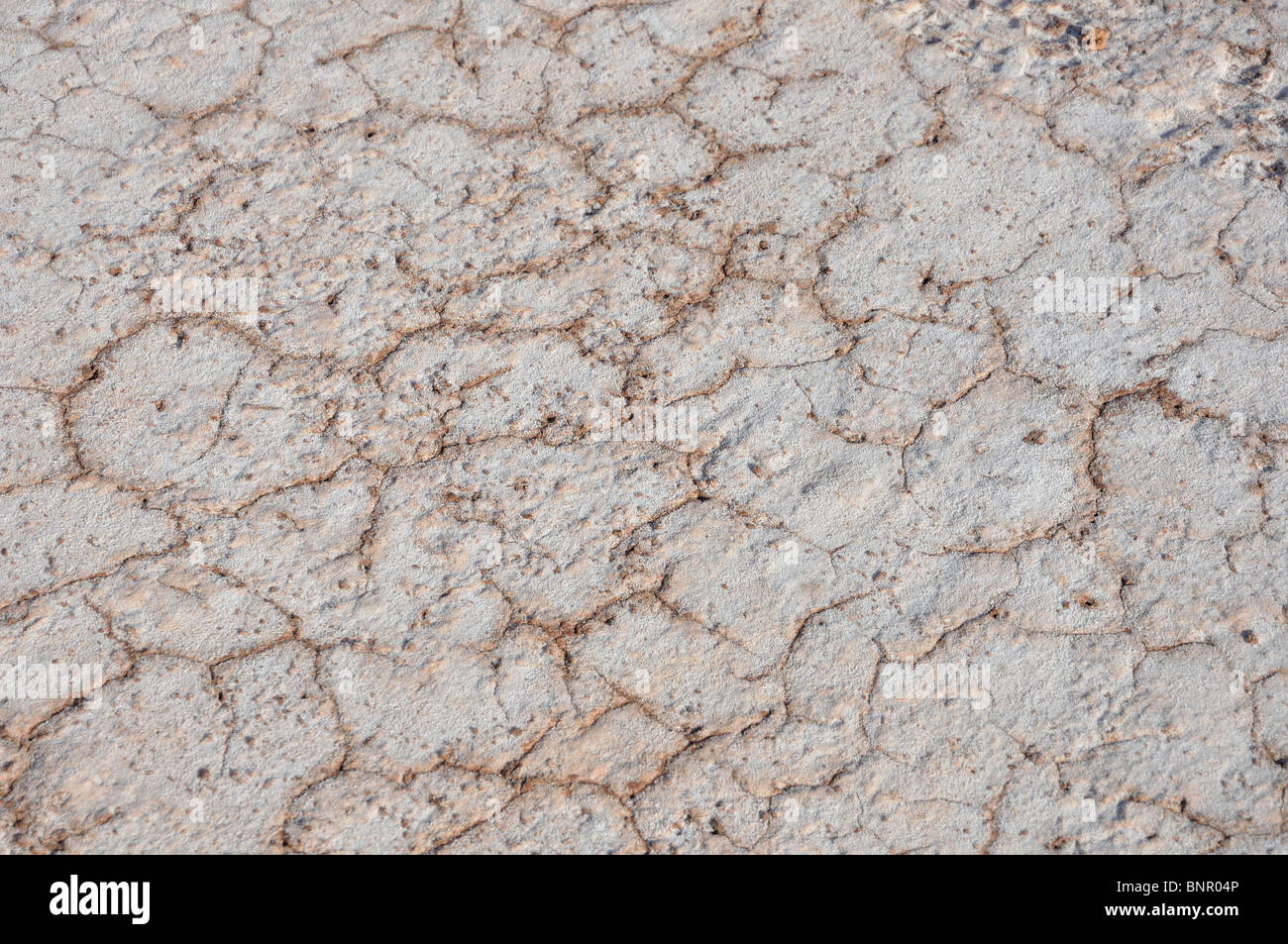 Cracked crust of Badwater salt flats, Death Valley National Park ...