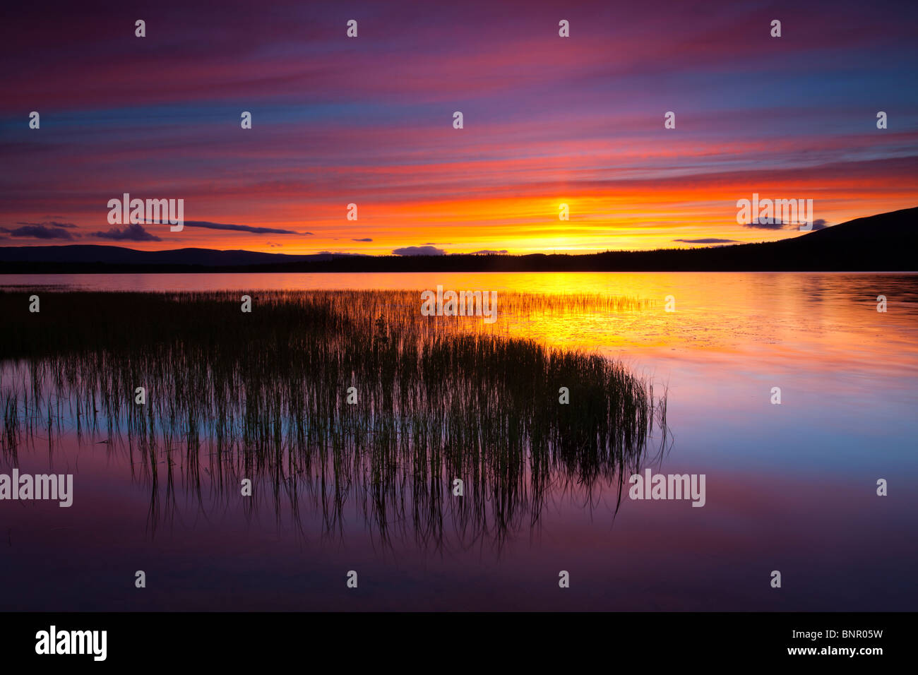 Scotland, Scottish Highlands, Cairngorms National Park. Summer sunset ...