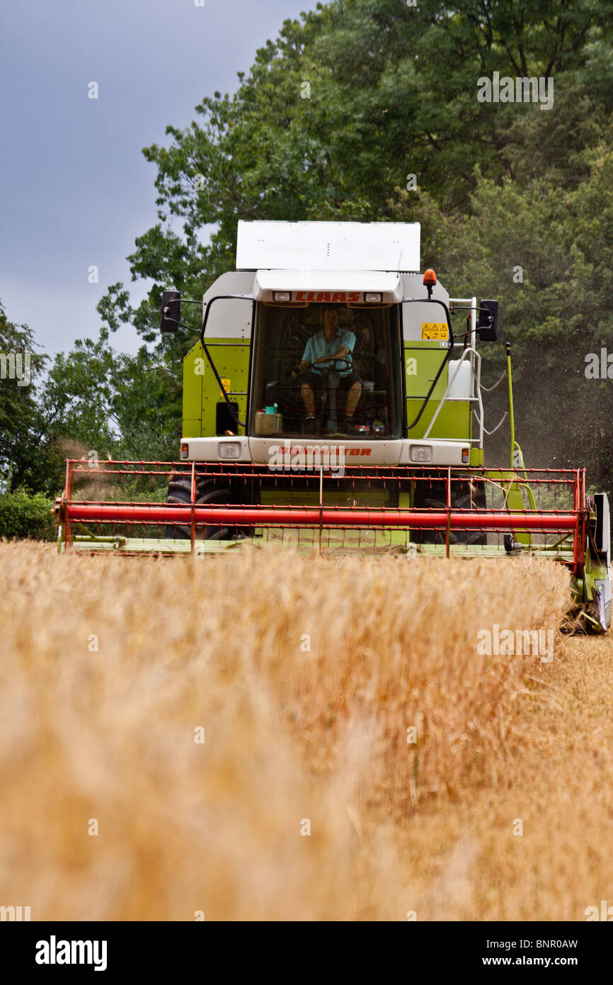 Combine harvester uk barley hi-res stock photography and images - Alamy