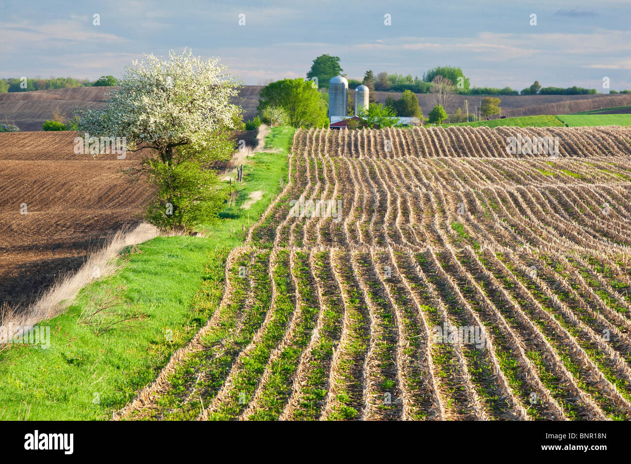 Ontario farms hi-res stock photography and images - Alamy