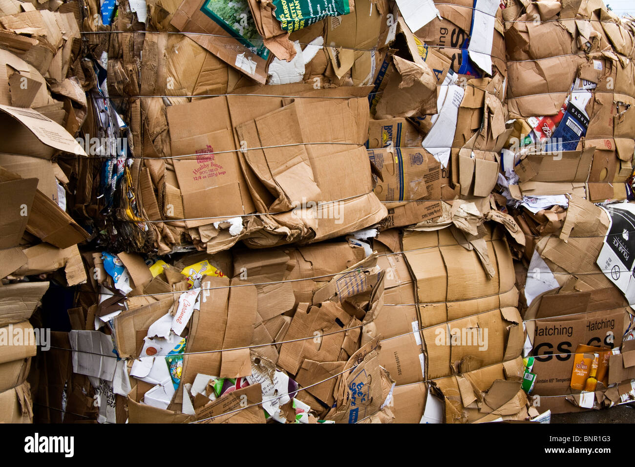 Cardboard packaged for recycling Stock Photo - Alamy