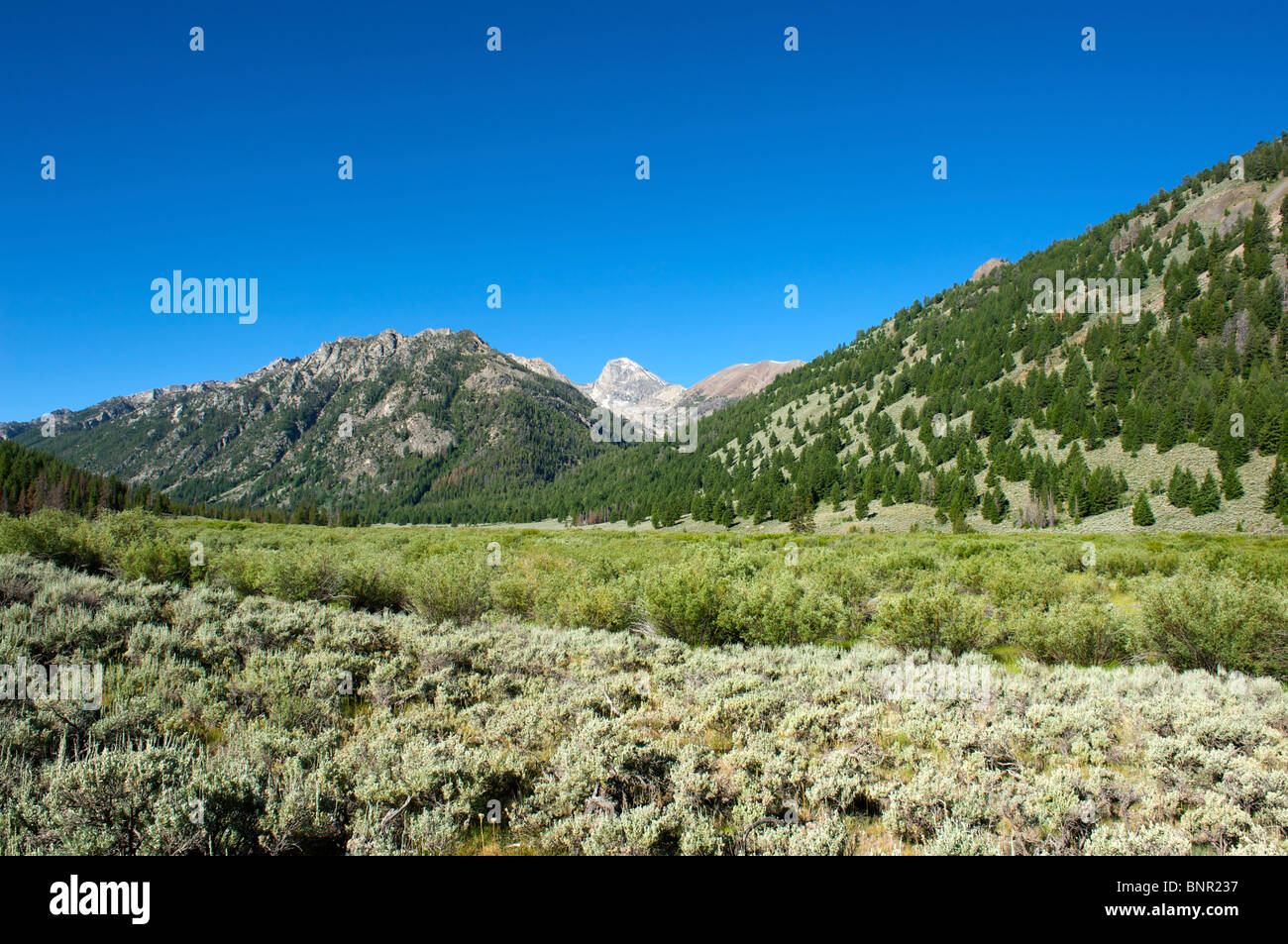 Wildhorse Creek area of the Copper Basin near Sun Valley, Idaho Stock ...