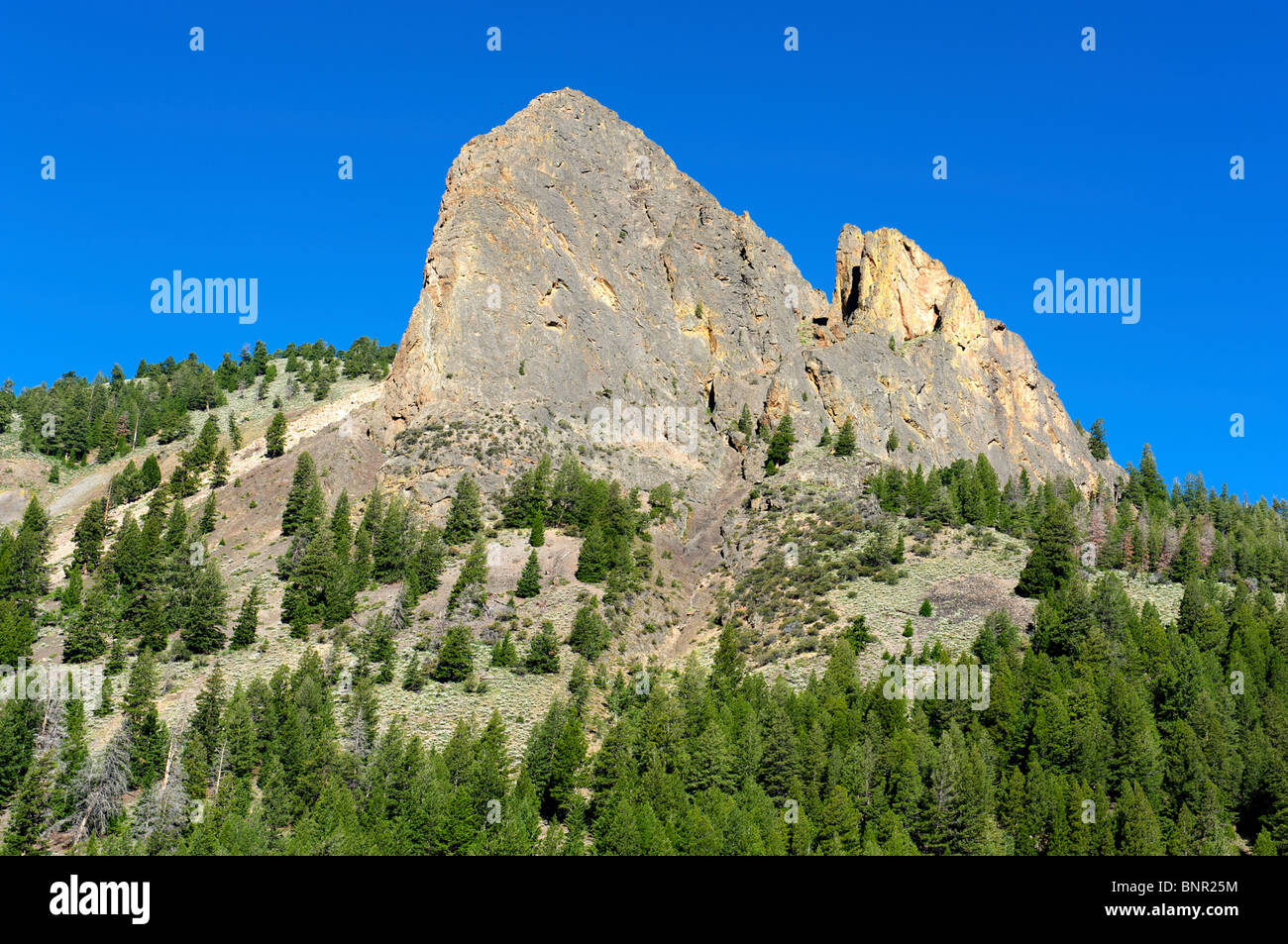 Wildhorse Creek area of the Copper Basin near Sun Valley, Idaho Stock ...
