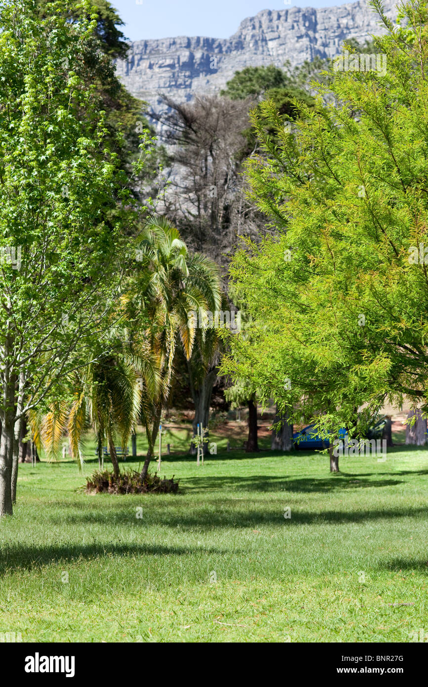 Trees and lawn Stock Photo - Alamy