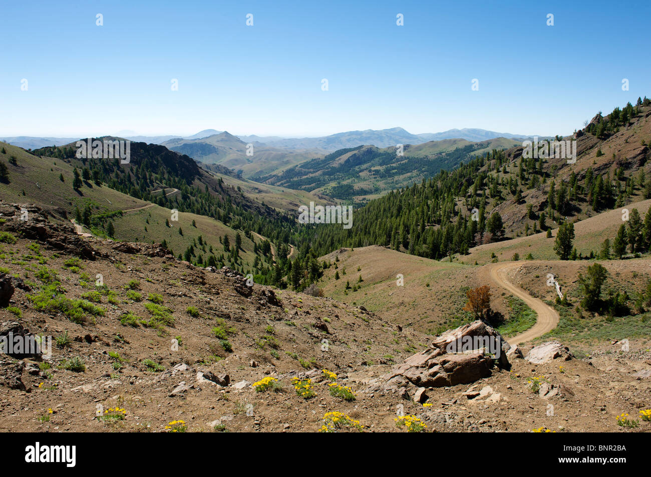 Antelope Pass area of the Copper Basin, near Sun Valley, Idaho Stock ...