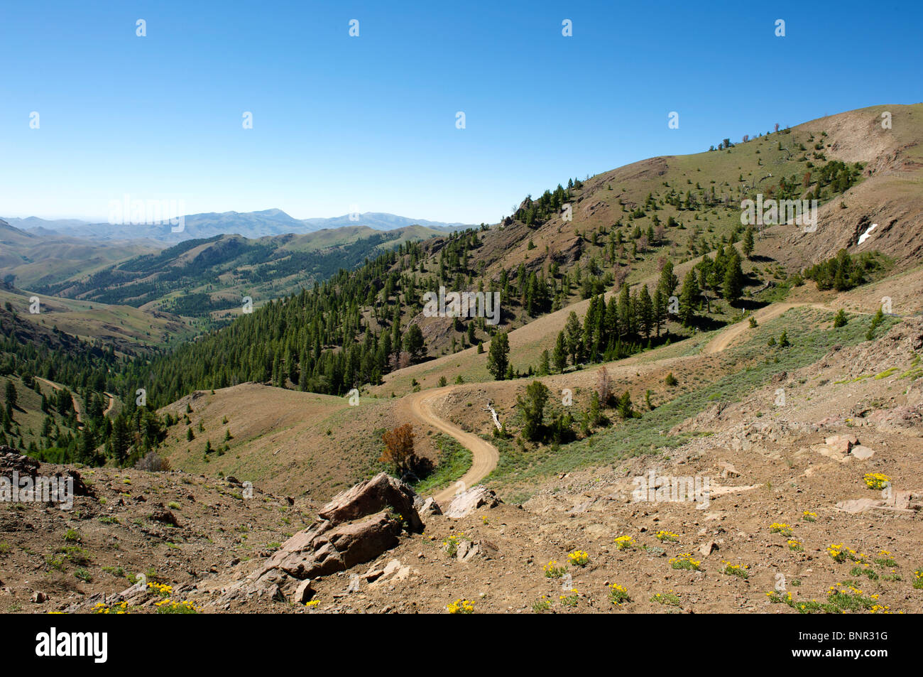 Antelope Pass area of the Copper Basin, near Sun Valley, Idaho Stock ...