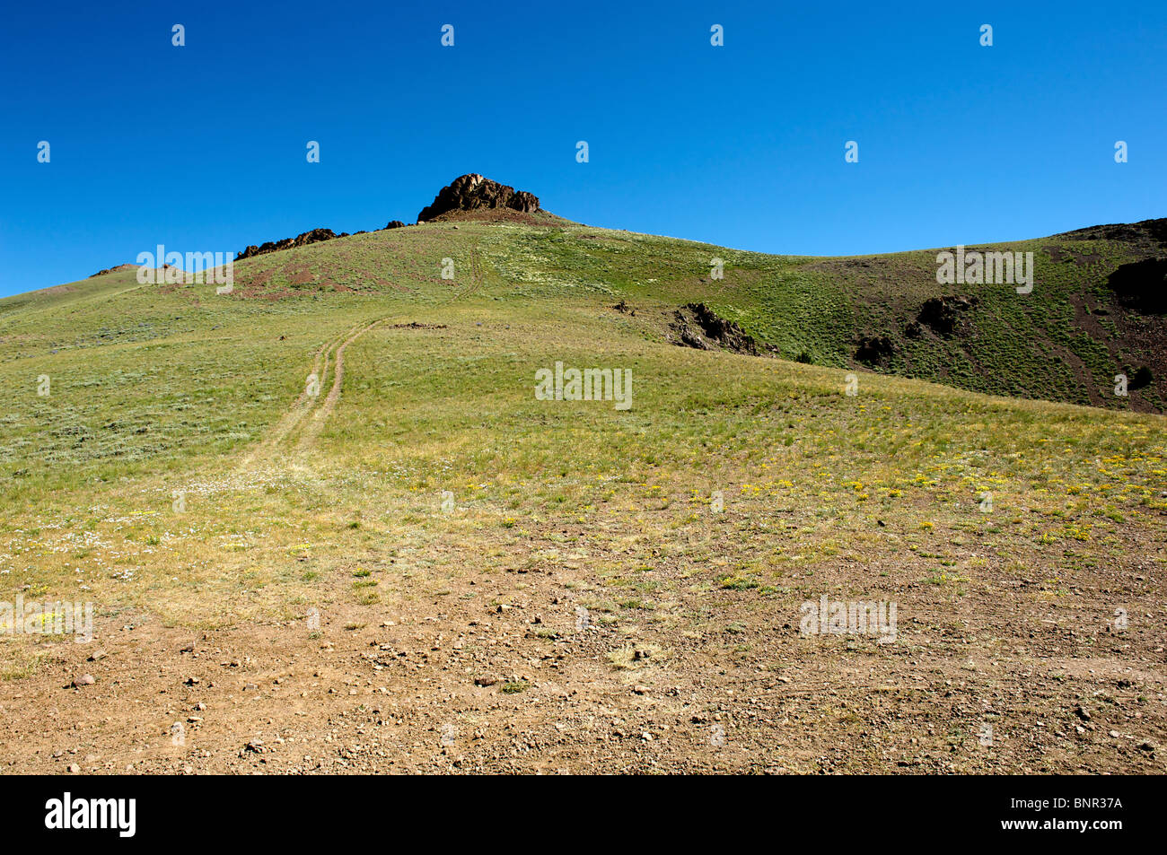 Antelope Pass area of the Copper Basin, near Sun Valley, Idaho Stock ...