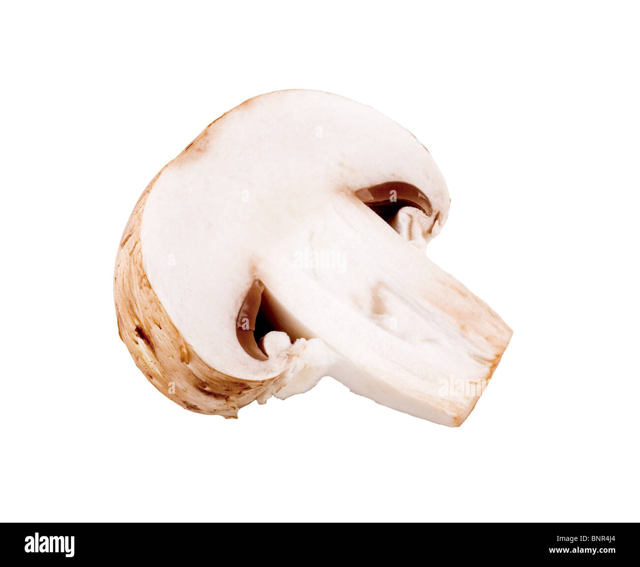 Half Of Mushroom High Resolution Stock Photography and Images - Alamy