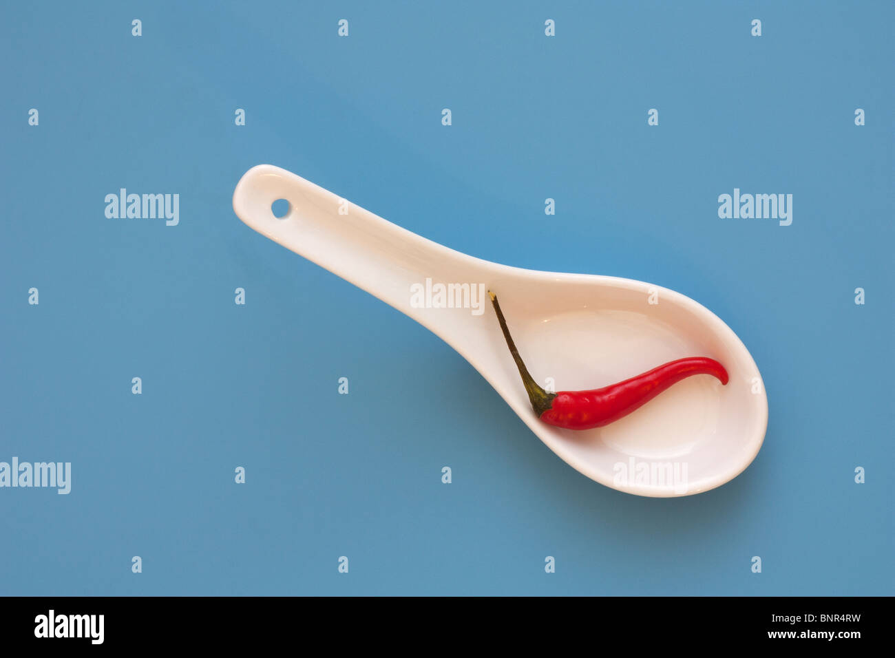 Red chilli on a spoon on a blue background Stock Photo - Alamy