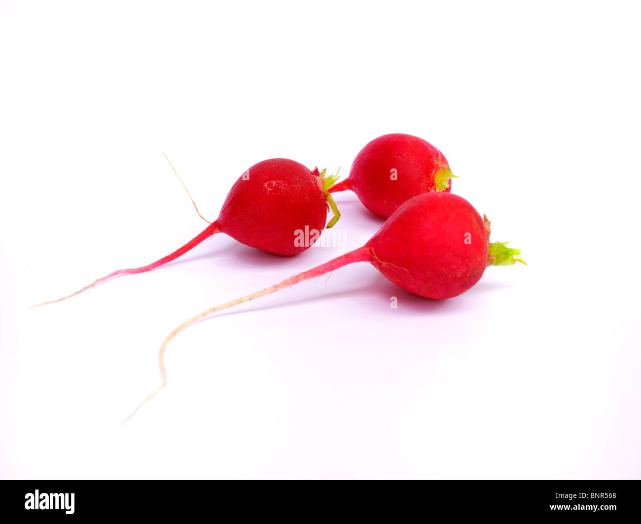 Radish on white background Stock Photo - Alamy