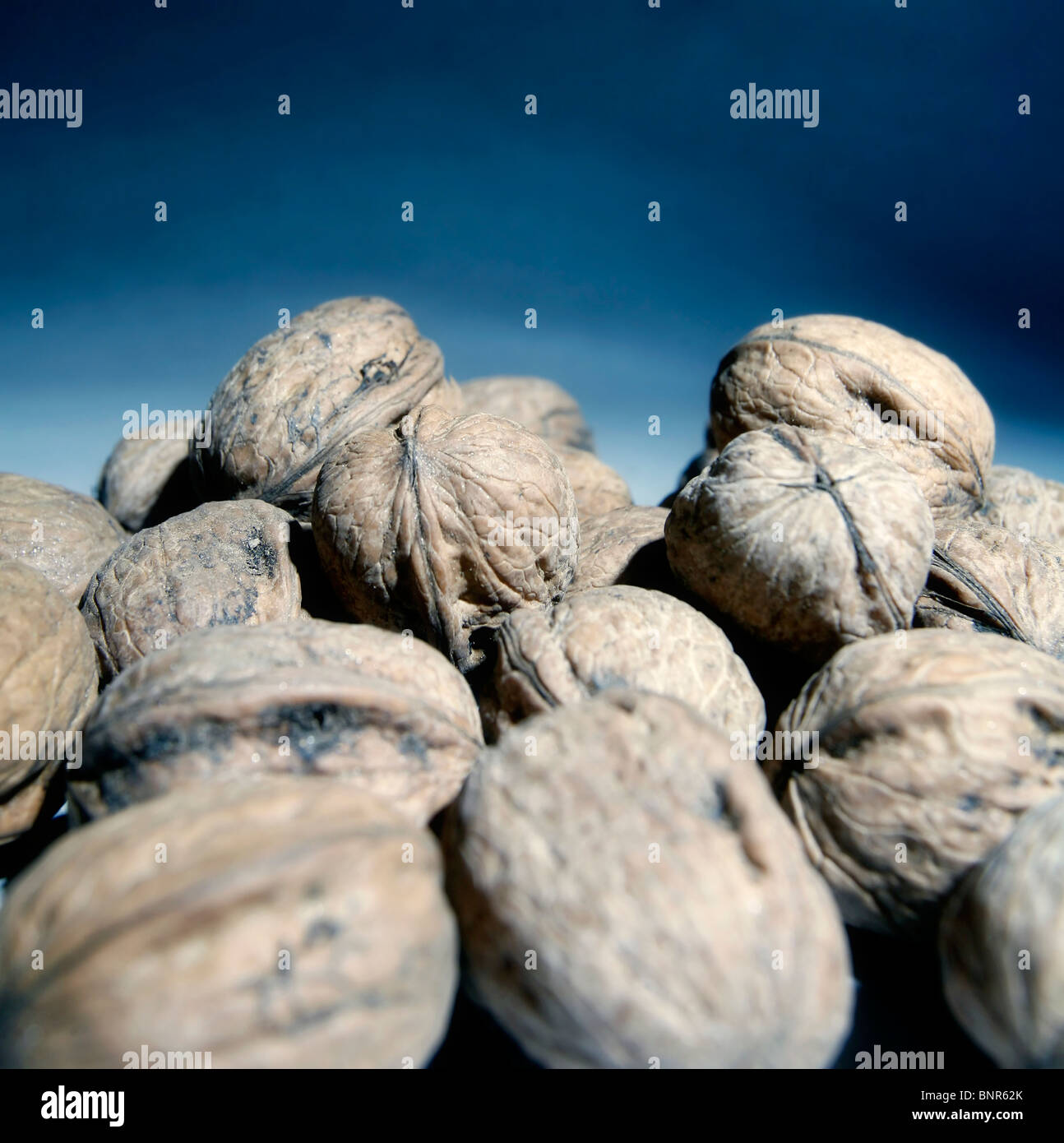Feed nuts hi-res stock photography and images - Alamy