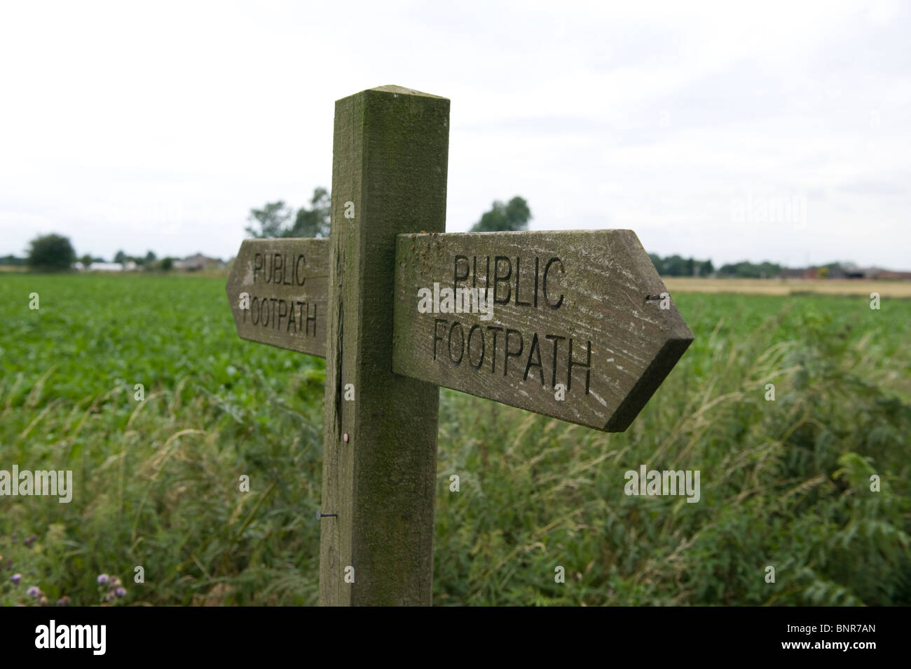 Rural English farm land Stock Photo - Alamy