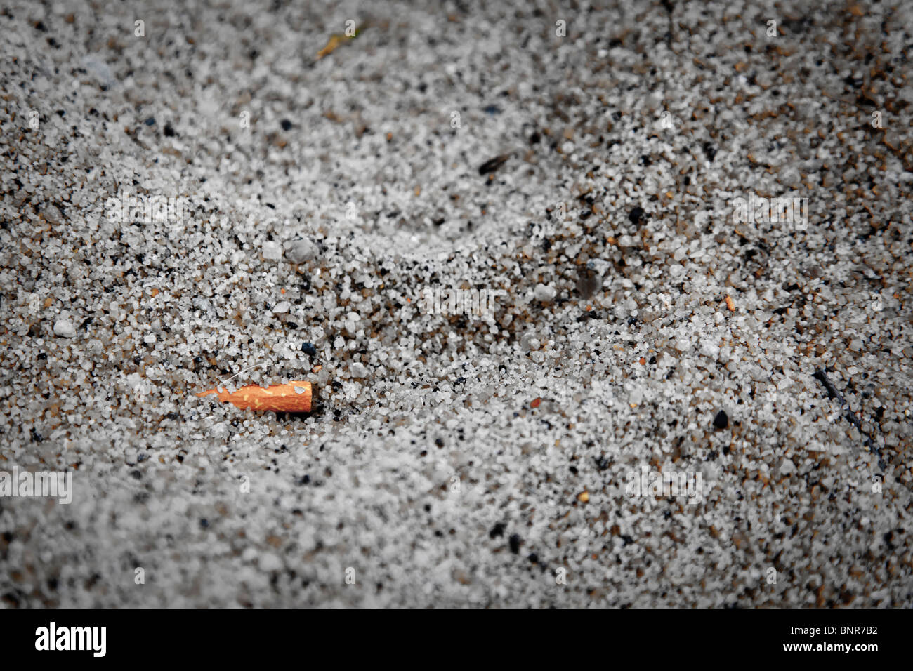 Cigarette end in sand Stock Photo - Alamy