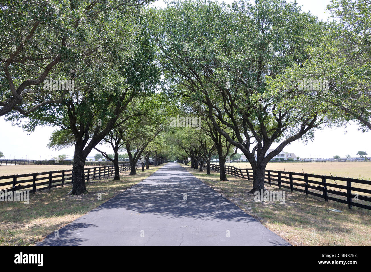 Southfork ranch, Texas, USA (form popular TV series "Dallas Stock Photo ...