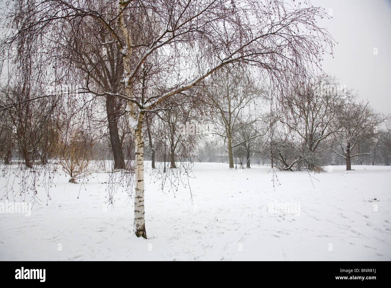 Clapham Common in the snow Stock Photo - Alamy