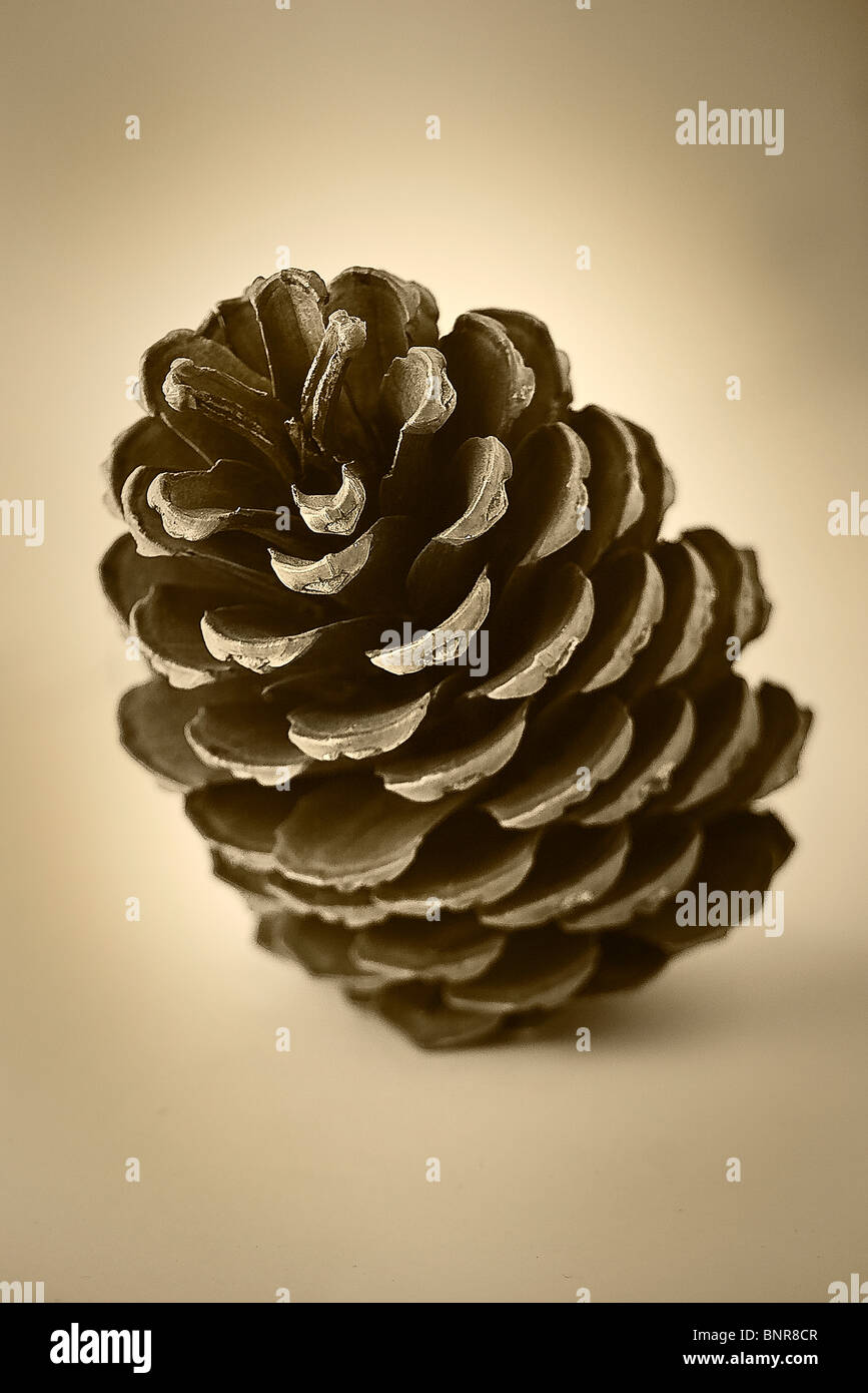 Cone vertical hi-res stock photography and images - Alamy