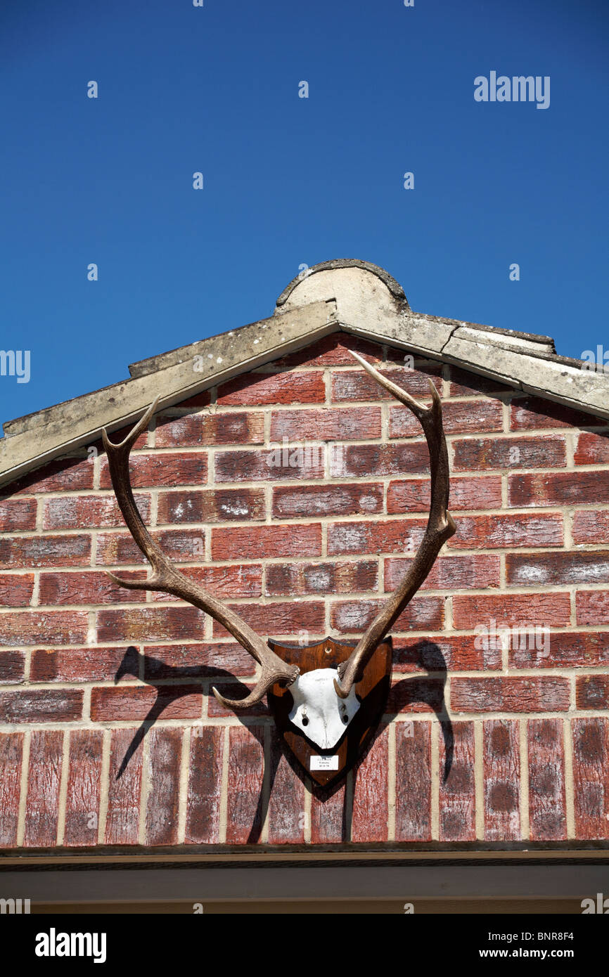 Antlers on brick wall of building set against blue sky Stock Photo - Alamy