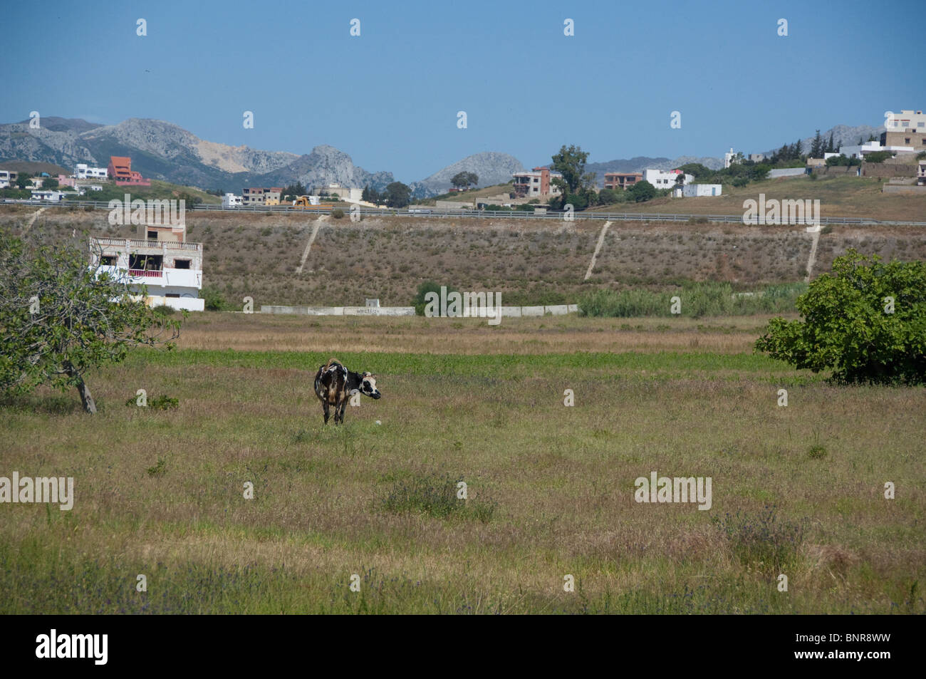 Morocco, Morocco. Typical foothills of the Rif Mountains, countryside ...