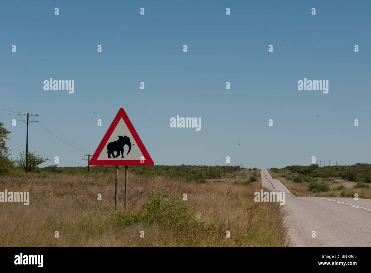 Traffic sign warning elphnats crossing in Otjikondo northern Namibia ...