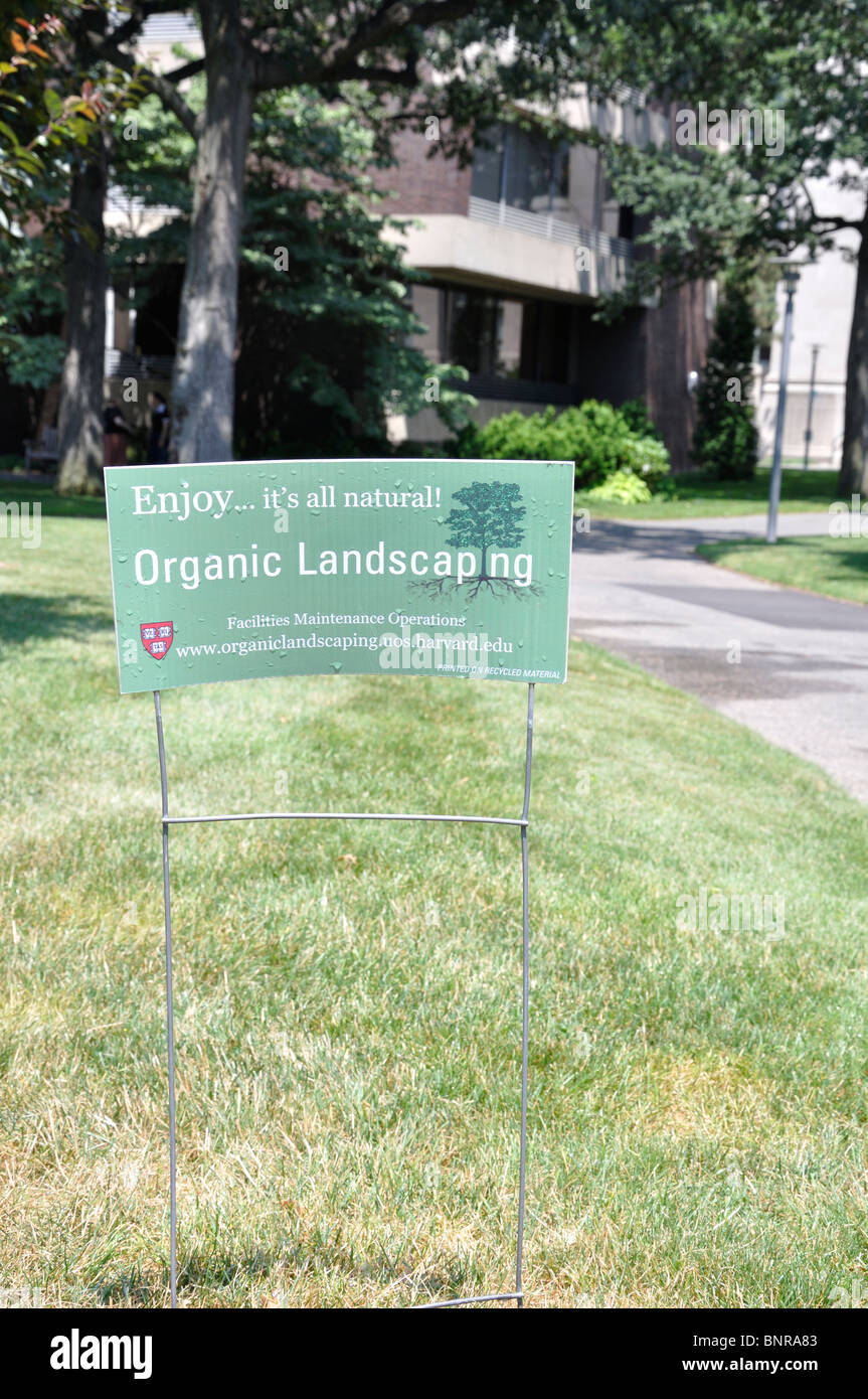 Harvard university campus sign hi-res stock photography and images - Alamy