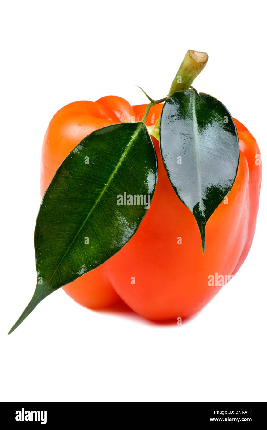 object on white - food Colored pepper close up Stock Photo - Alamy