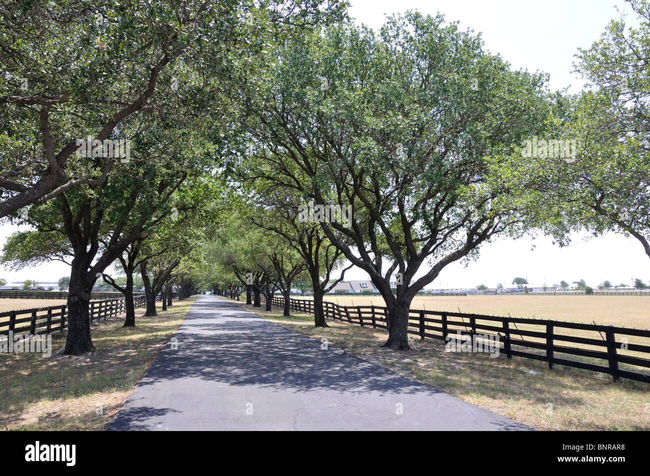 Southfork ranch, Texas, USA (form popular TV series "Dallas Stock Photo ...