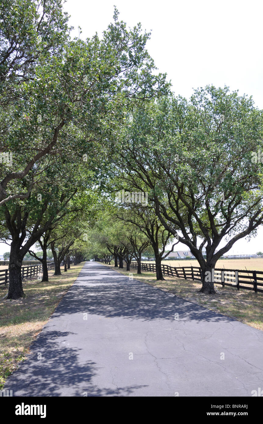 Southfork ranch, Texas, USA (form popular TV series "Dallas Stock Photo ...