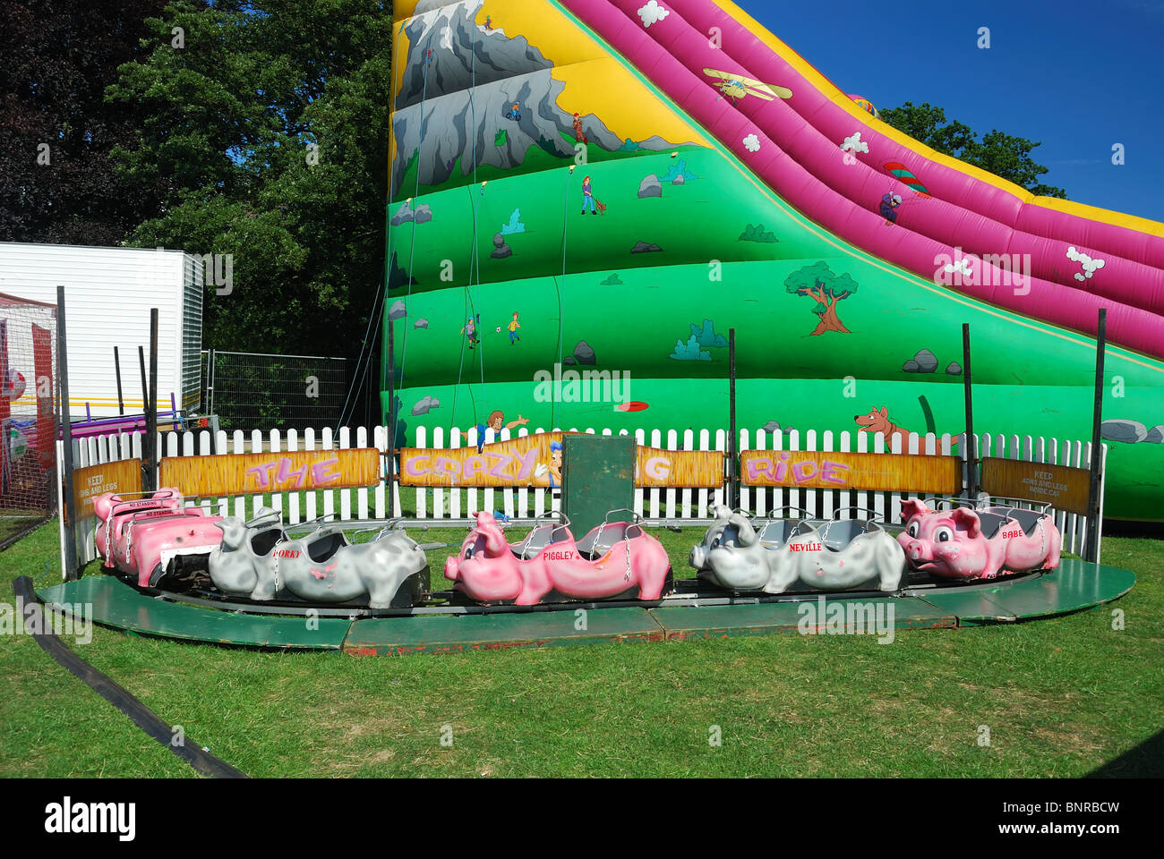 The Crazy Pig Ride Stock Photo - Alamy