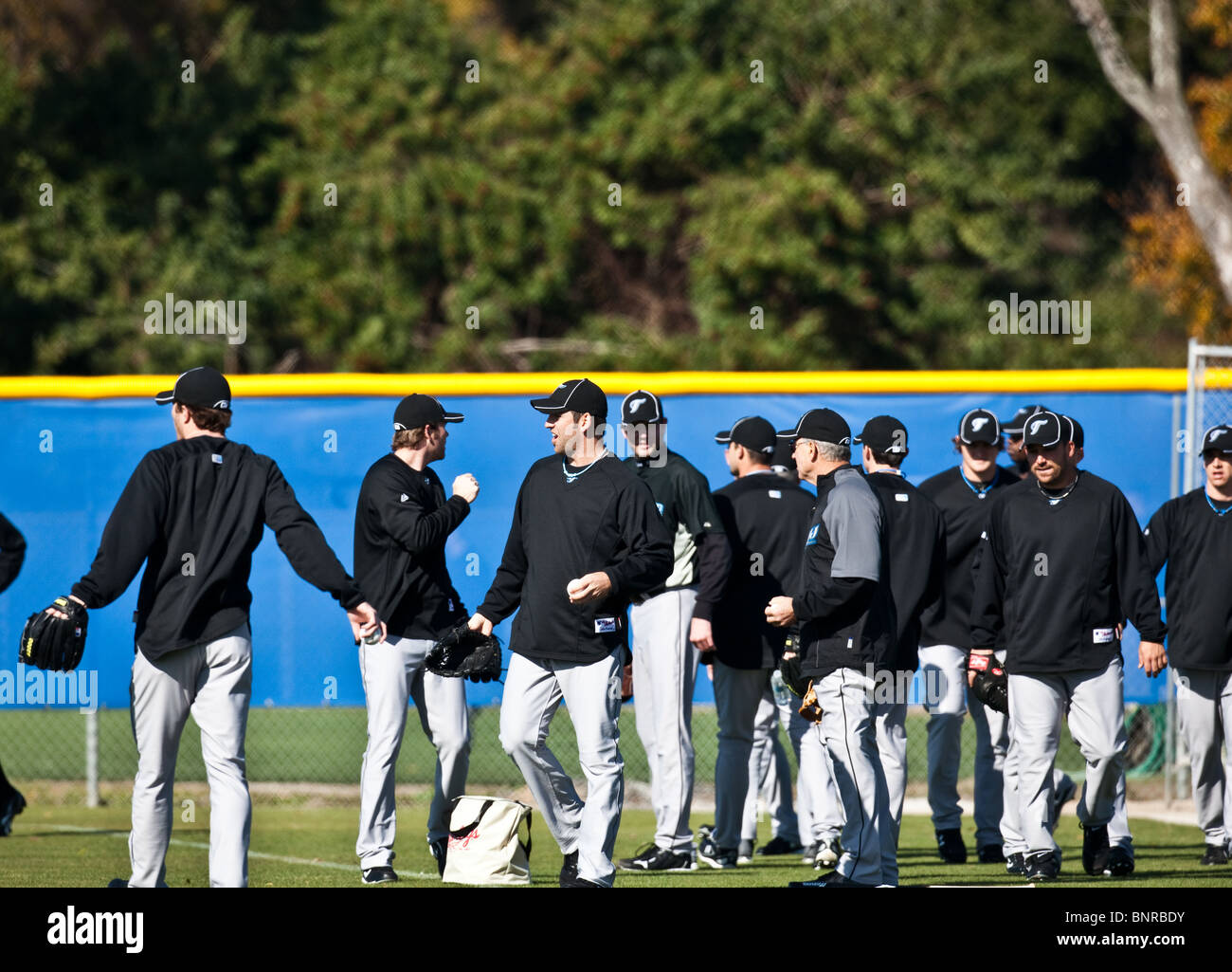 Toronto Blue Jays at Spring Training in Dunedin, Florida Stock Photo ...